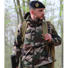 The organization of the French Army: a hierarchical and complex system