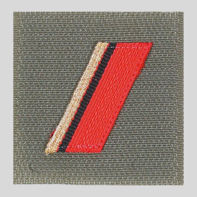 Army Ground Forces High Visibility Stripe - 1st Class