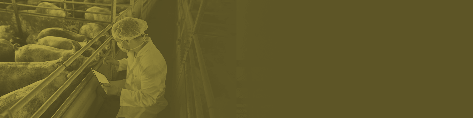 Food Industry Workwear and PPE